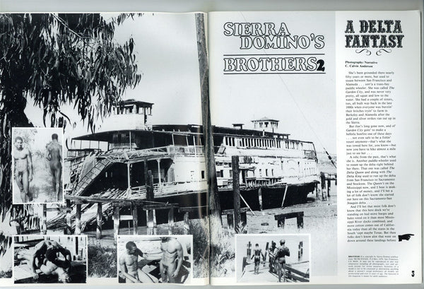 Sierra Domino's Black Brothers #2 African American Homo Erotica 1983 A ...