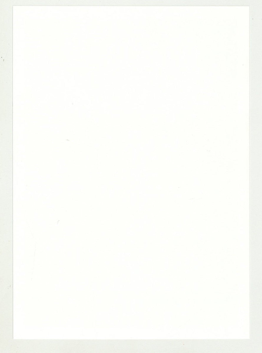 Chad Bannon/Dusty Manning 1997 Colt Studio Perfect Physique 5x7 Jim Fr ...